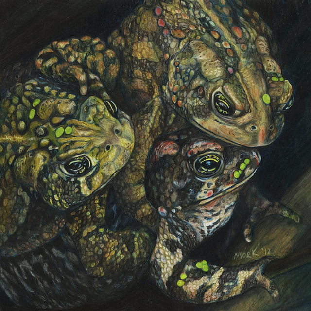 Menage a Frog – Janie Mork Artwork