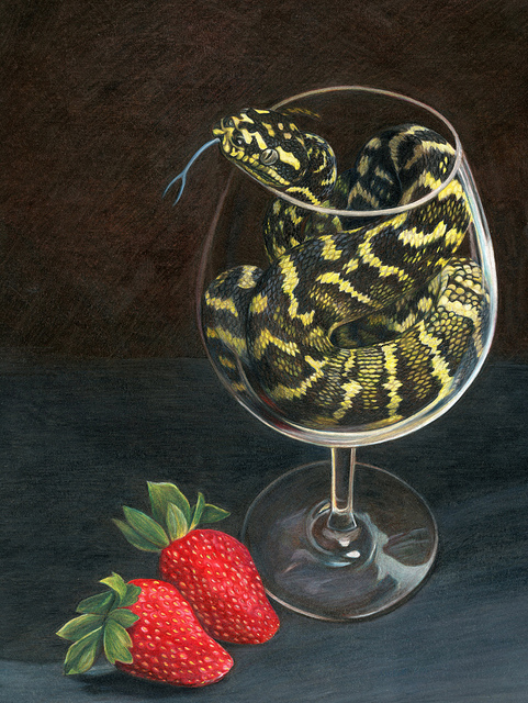 Shiraz – Janie Mork Artwork